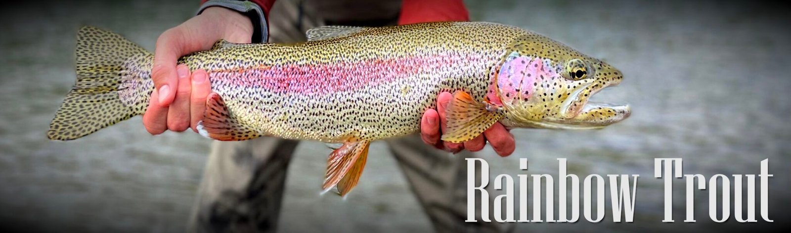 Drifting into Paradise: Float Fishing Southwest Alaska – Alaska Rainbow ...